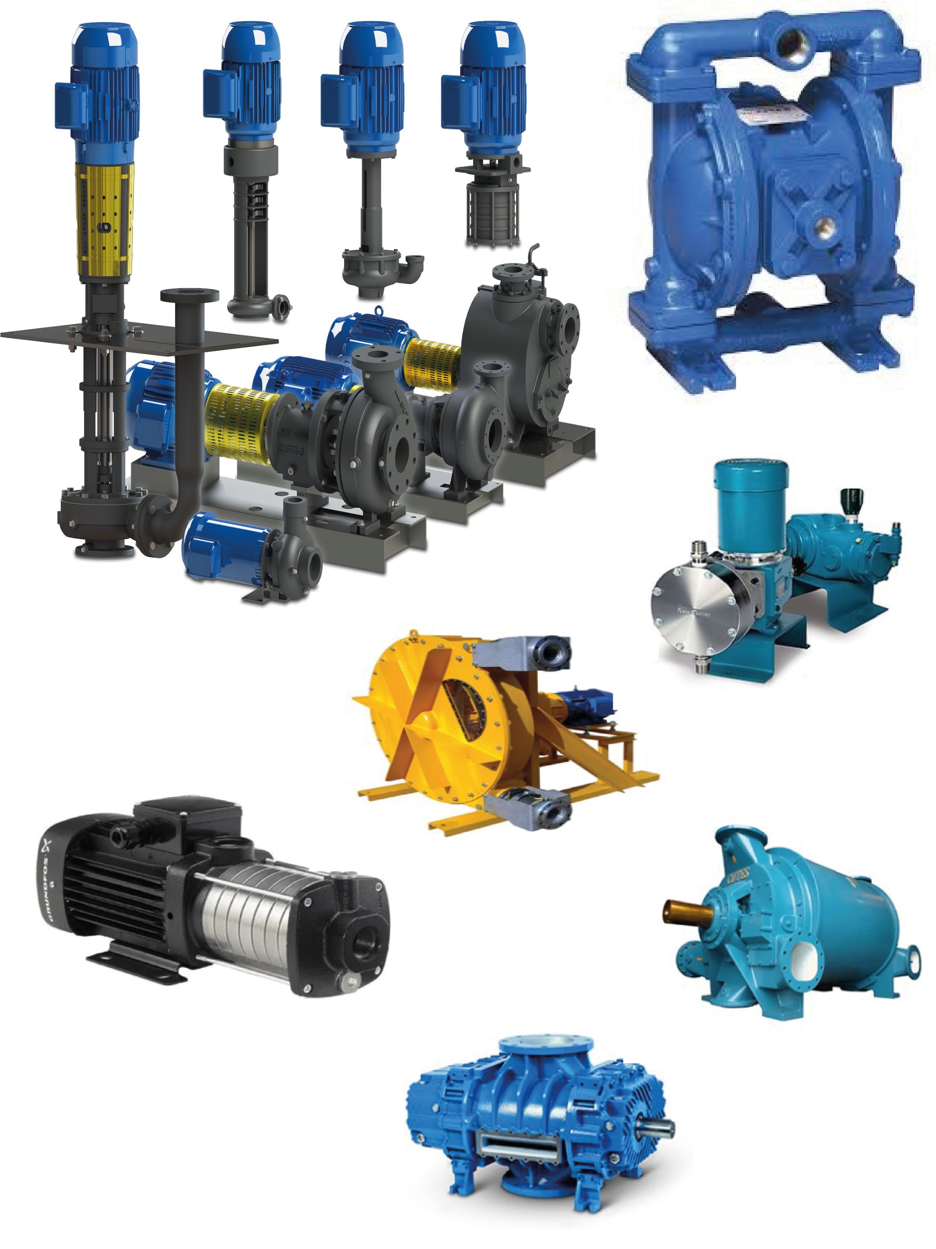 Pumps & Motors